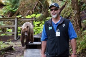 Anan Bears Tour | Alaska Charters and Adventures | Wrangell