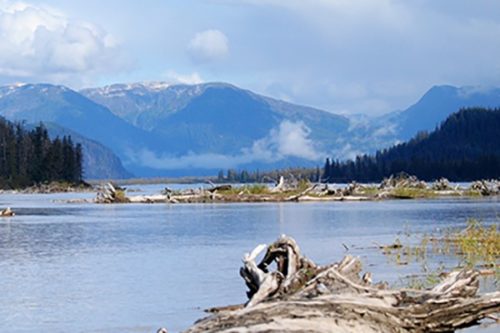 Stikine River | Alaska Charters and Adventures | Wrangell