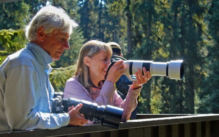 Anan Bears Tour | Alaska Charters and Adventures | Wrangell